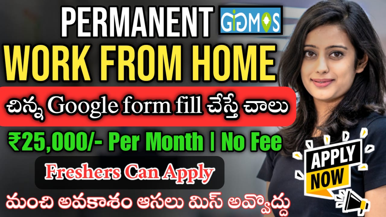 Gigmo solutions Permanent Work From Home job in 2023 | Chat support ...