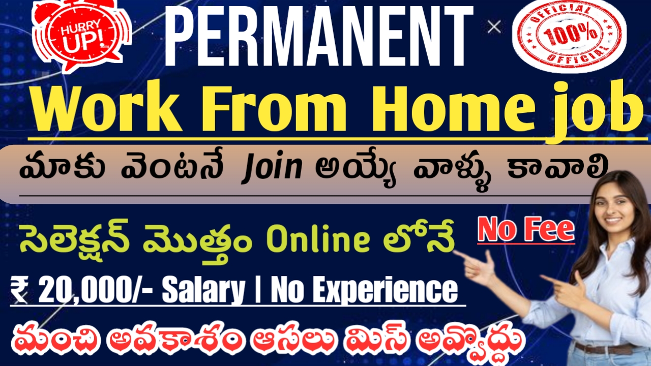 Permanent Work From Home jobs 2024 | Latest work from home job | Apply ...