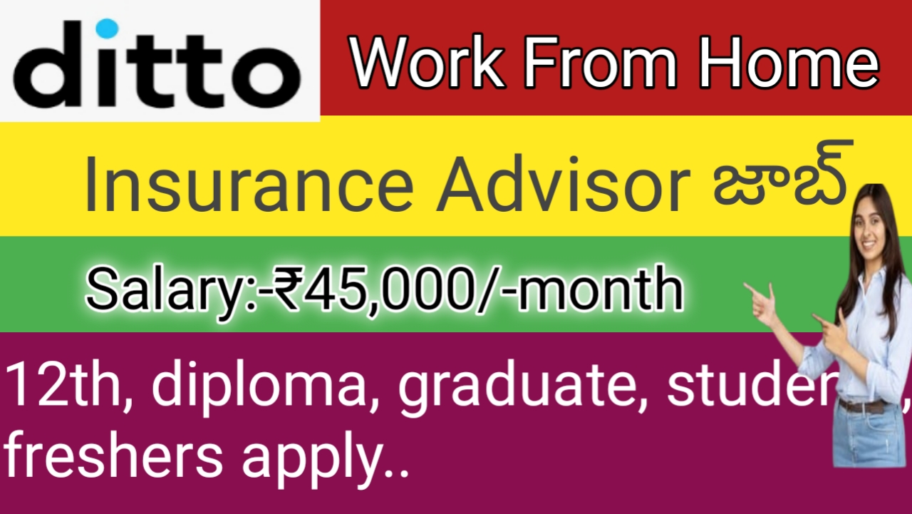 Ditto work from home insurance Advisor జాబ్|salary:-₹45,000/-month ...